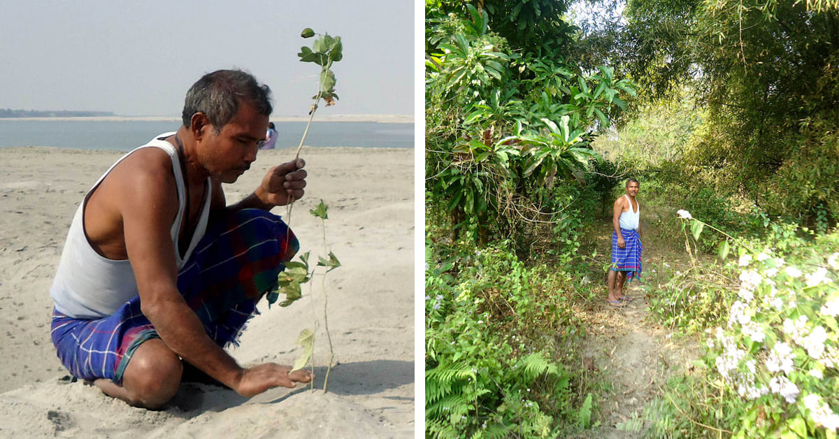 The Forest Man of India: Jadav Payeng's Inspirational Story - Lite ...